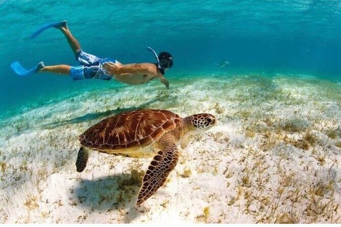 Snorkeling in Paradise - Videos Included - The Booking and Location Experience