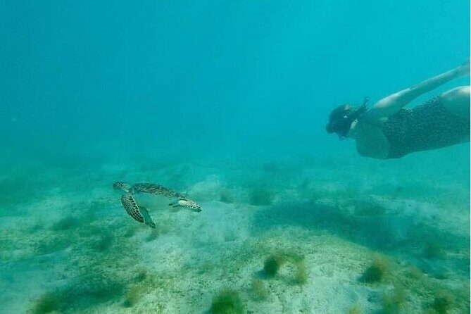 Snorkeling in Paradise - Videos Included - The Snorkeling Itinerary — What to Expect