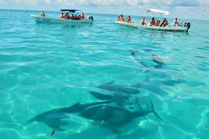 Snorkeling in Sian Ka'an - What You Can Expect on This Sian Kaan Snorkeling Adventure