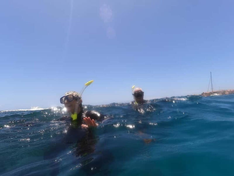 Snorkeling in tenerife south: Discover the underwater world - Key Points