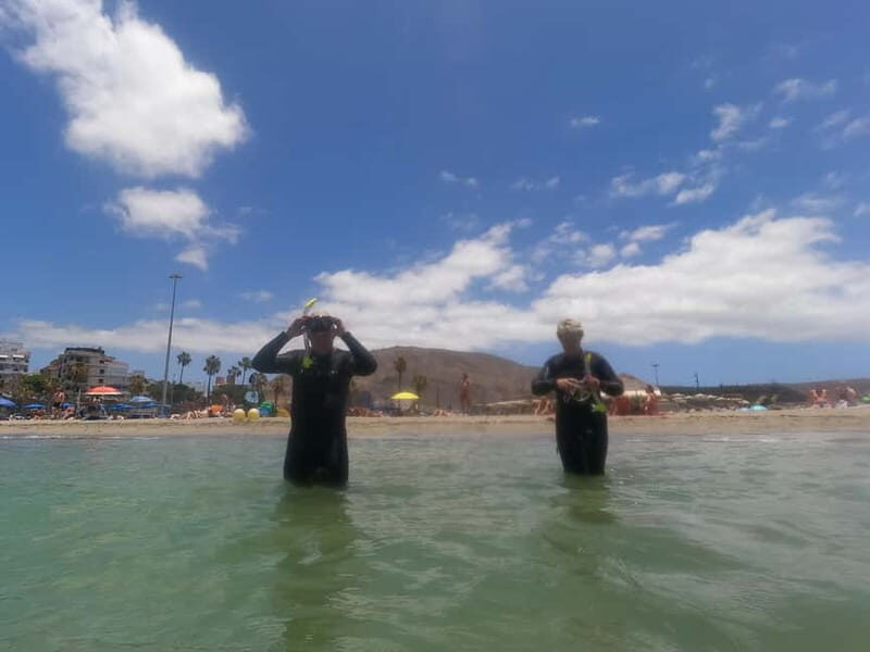 Snorkeling in tenerife south: Discover the underwater world - An In-Depth Look at the Tenerife South Snorkeling Tour