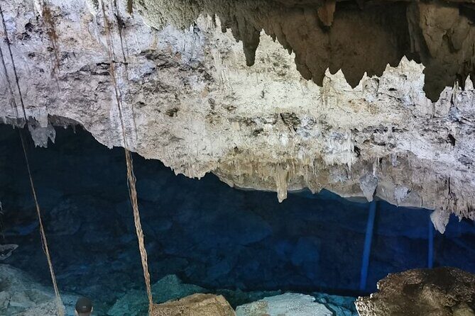 Snorkeling in the Cenotes of Bayahibe - Final Thoughts
