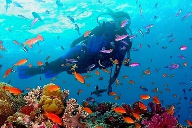 Snorkeling in Trincomalee - Diving into the Details: What to Expect from the Tour