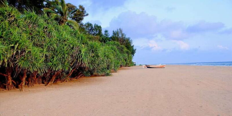 Snorkeling in Trincomalee - The Sum Up