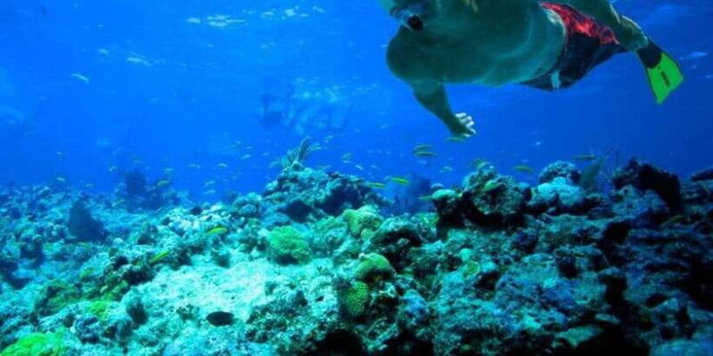 Snorkeling in Trincomalee - FAQ