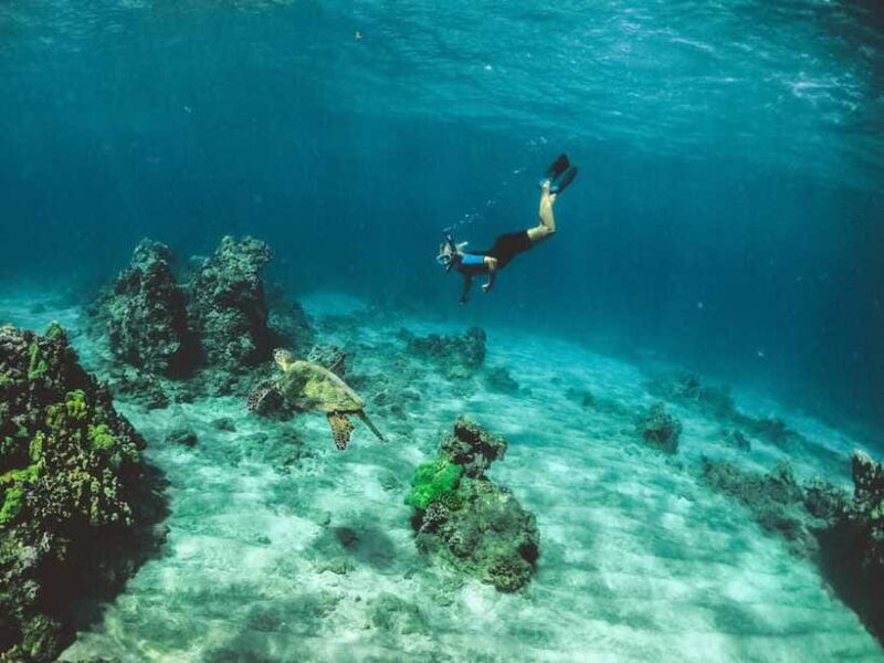 Snorkeling in Unawatuna - FAQ