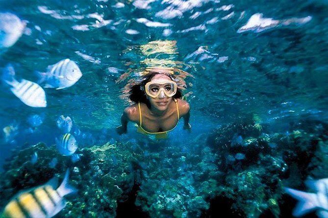 Snorkeling & Kayacking Day Trip Royal Garrafon Park Bassic Classic - The Tour Experience: What to Expect