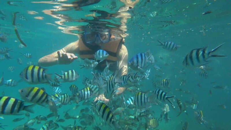 Snorkeling Kayaking Fishing Swimming Activities - Key Points