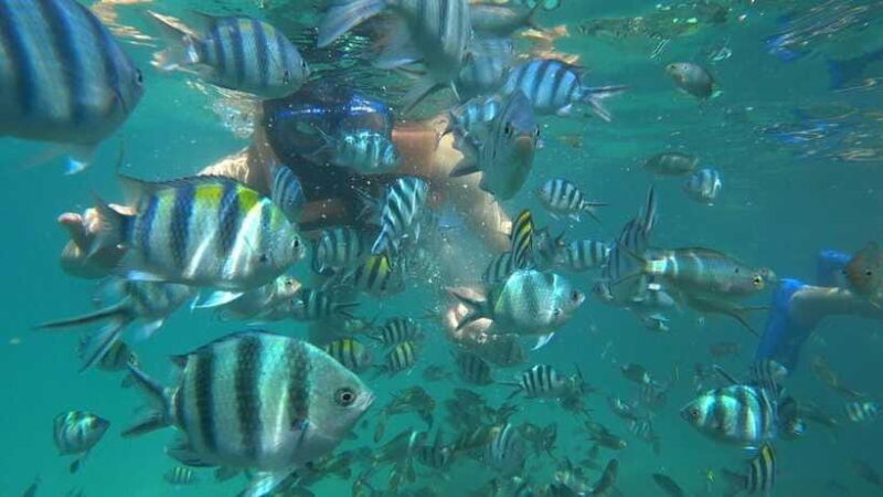 Snorkeling Kayaking Fishing Swimming Activities - Authentic Experiences and Honest Opinions