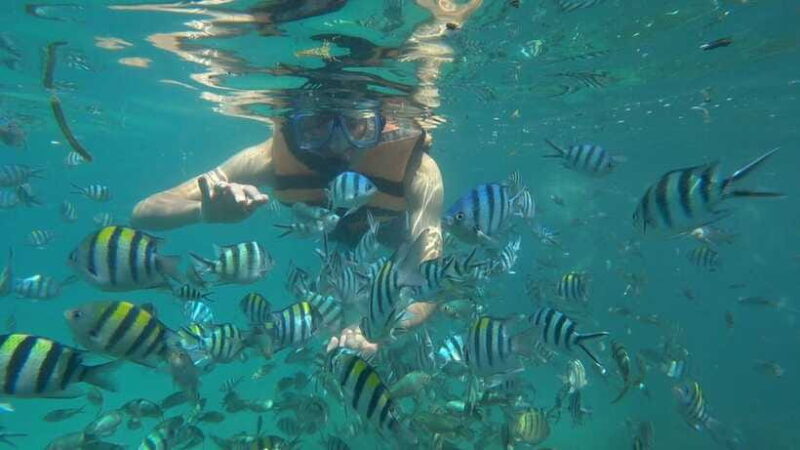 Snorkeling Kayaking Fishing Swimming Activities - Who Is This Tour Best For?