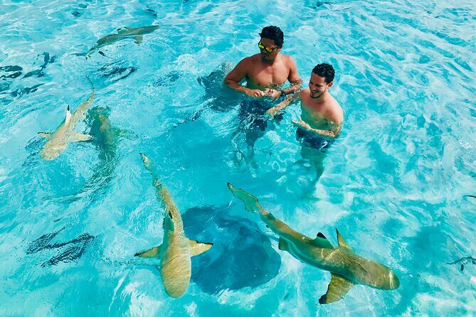 Snorkeling Lagoon Cruise and Whale Watching in Moorea - Key Points