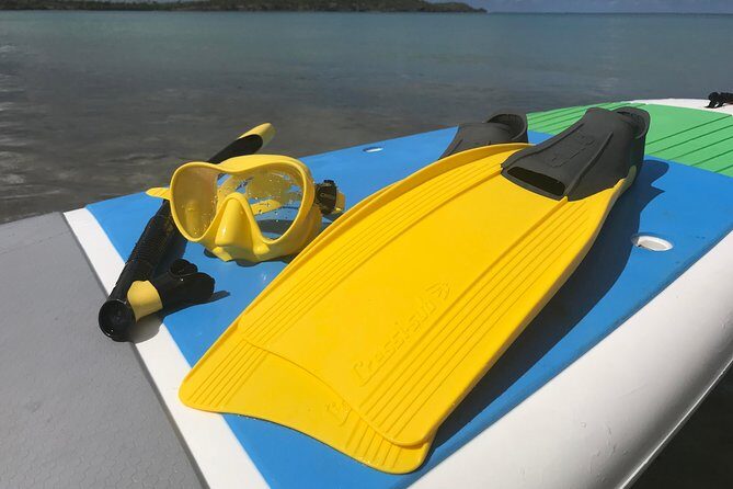 Snorkeling Lesson & Interactive Experience for Kids and Adults - Key Points