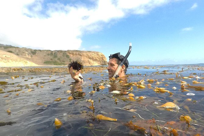 Snorkeling Los Angeles - Key Points