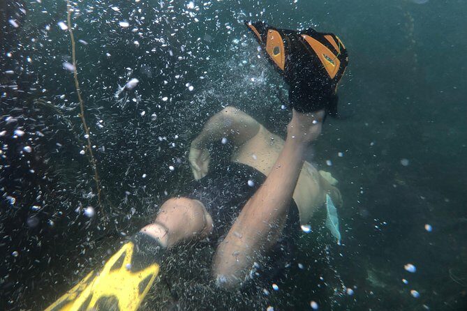 Snorkeling Los Angeles - An in-depth look at the snorkeling tour