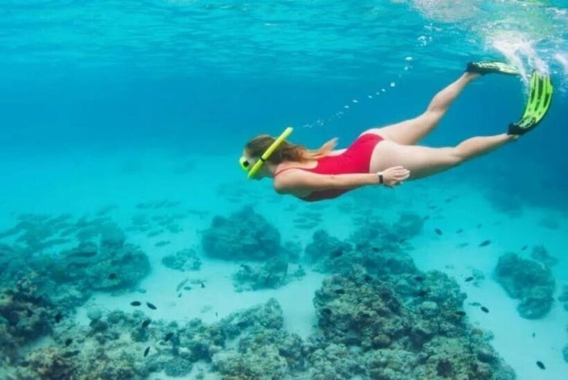 Snorkeling & Lunch in Nature Reserve Garajau - Final Summary
