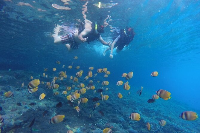 Snorkeling Manta Bay And West Penida Private Guided Tour - What Travelers Say: Authentic Perspectives
