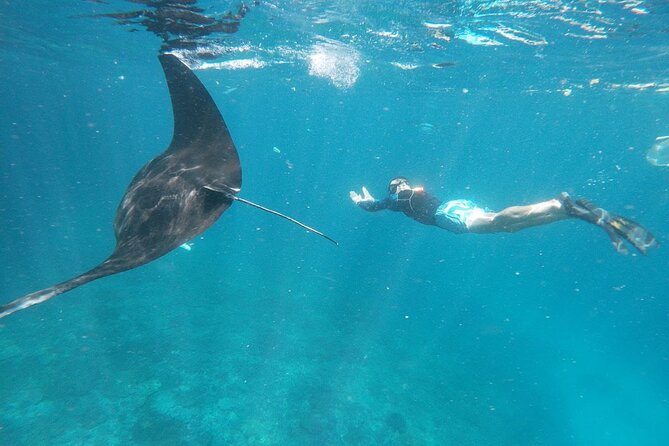 Snorkeling Manta Bay And West Penida Private Guided Tour - Practical Details: What You Need to Know