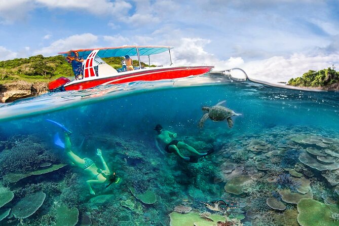 Snorkeling Manta Ray Safari in Nusa Penida - Who Is This Tour Best For?
