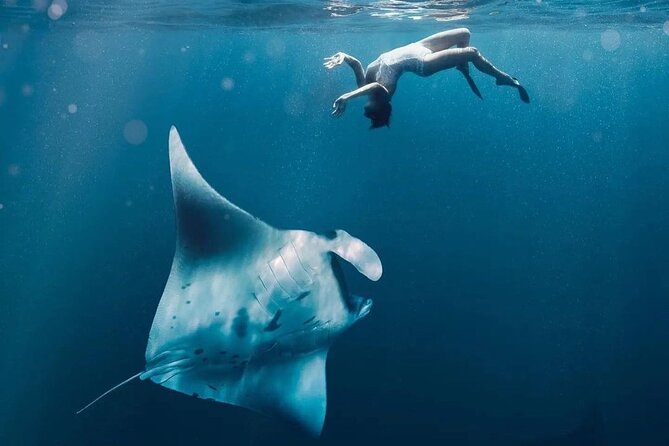 Snorkeling Manta Rays and Land Tour Nusa Penida All-Included - Additional Snorkeling Spots