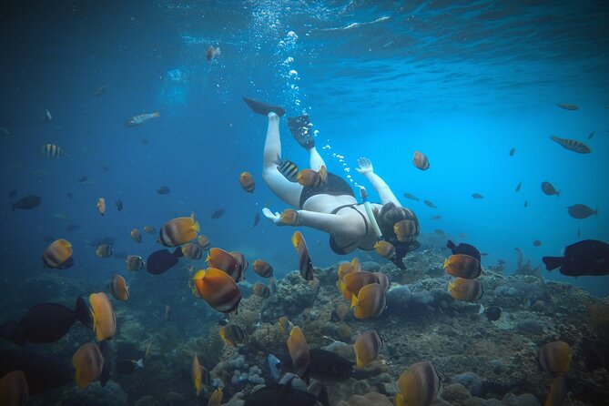 Snorkeling Manta Rays and Land Tour Nusa Penida All-Included - Exploring Nusa Penida’s Landmarks