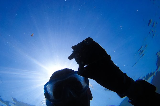 Snorkeling - Marine Park Discovery - Key Points