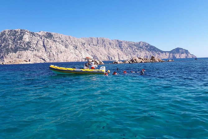 Snorkeling marine protected area Tavolara - Who Should Book This Tour?