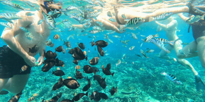 Snorkeling Nusa Penida Expedition 4 Point - Practical Tips for Travelers