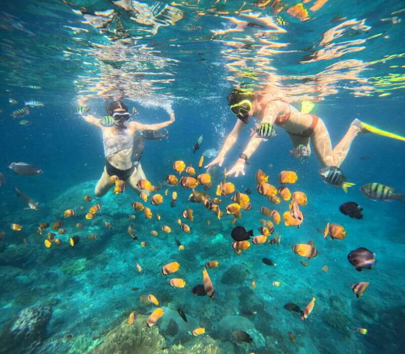 Snorkeling Nusa Penida four Spots - Key Points