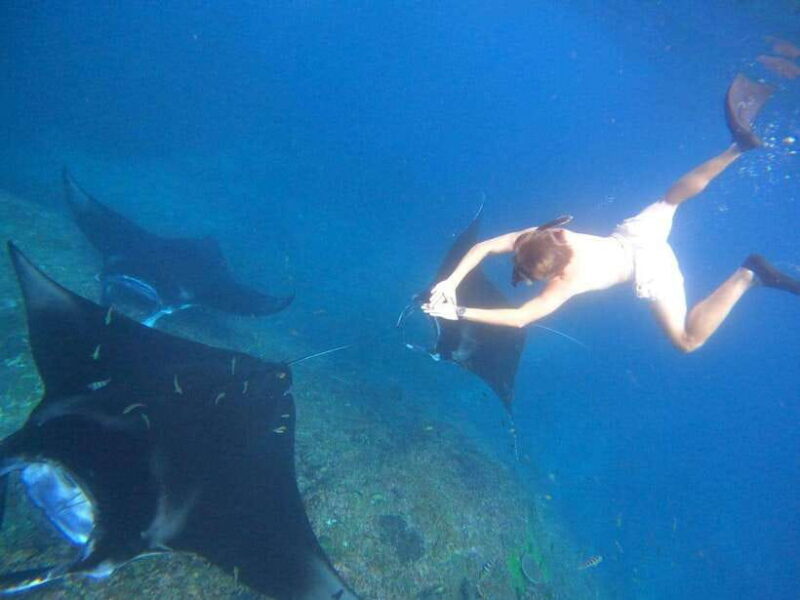 Snorkeling Nusa Penida four Spots - Practical Tips for Travelers