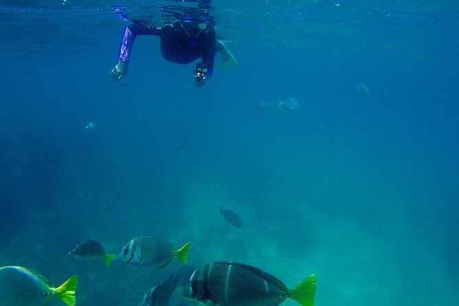 Snorkeling on a hidden beach (Hike) - The Sum Up: Why Choose This Experience?