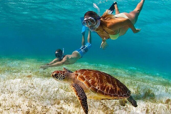 Snorkeling Paddle Private Catamaran 1/2 Day Turks and Caicos - Key Points