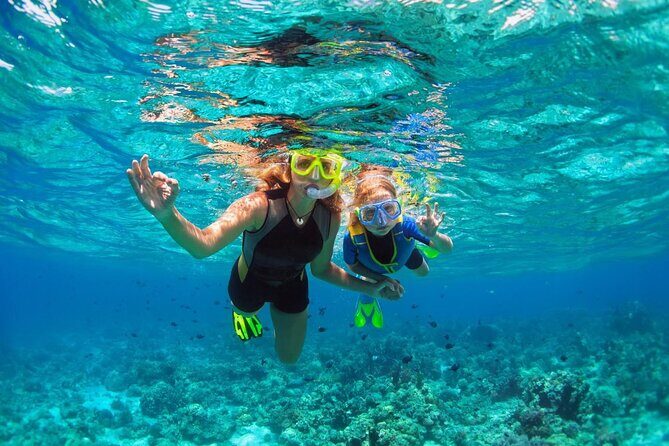 Snorkeling Paddle Private Catamaran 1/2 Day Turks and Caicos - Who Should Consider This Tour?