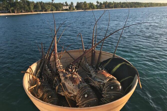 Snorkeling Paddle Private Catamaran 1/2 Day Turks and Caicos - FAQs