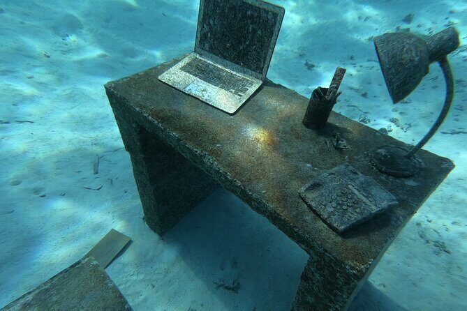 Snorkeling picnic in 5 hours with lunch in Tahiti - Price & Value