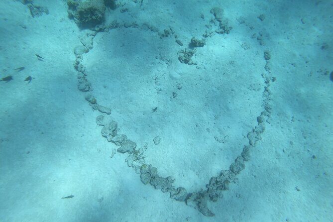Snorkeling picnic in 5 hours with lunch in Tahiti - Authenticity and Cultural Touches