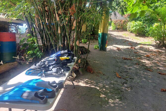 Snorkeling Point with Panoramic View and Hot Spa Bath - The Experience from Reviews