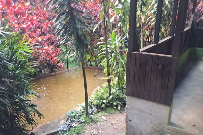 Snorkeling Point with Panoramic View and Hot Spa Bath - The Value Proposition