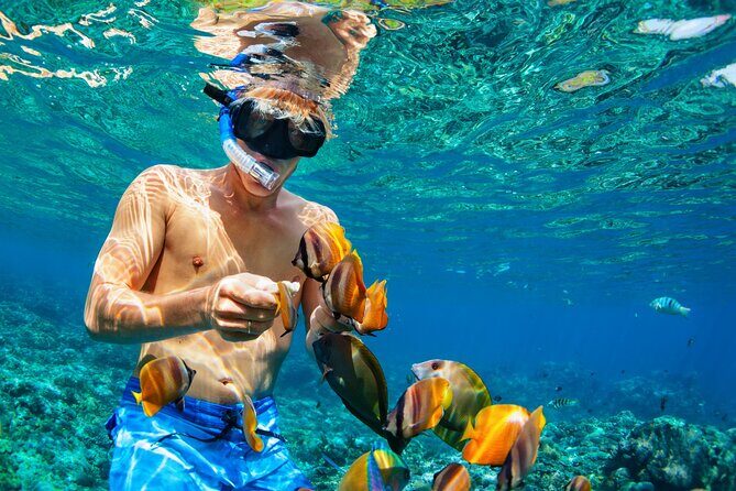 Snorkeling Private Tour in San Juan - Key Points