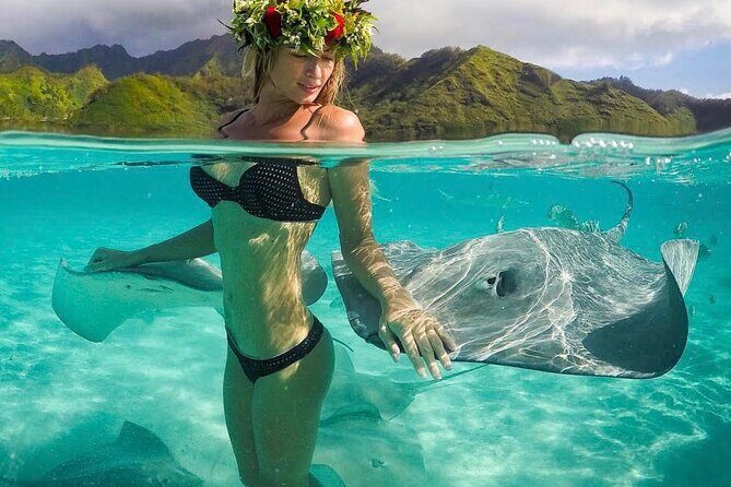 Snorkeling Safari Moorea (Half Day Tour) - Key Points