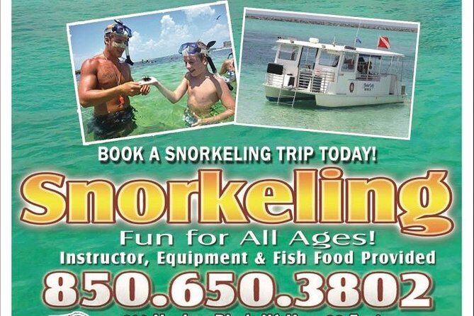 Snorkeling, Shelling & Eco Excursion - What to Expect on the Tour