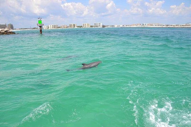 Snorkeling, Shelling & Eco Excursion - Who Will Enjoy This Tour?