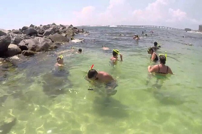 Snorkeling, Shelling & Eco Excursion - The Sum Up