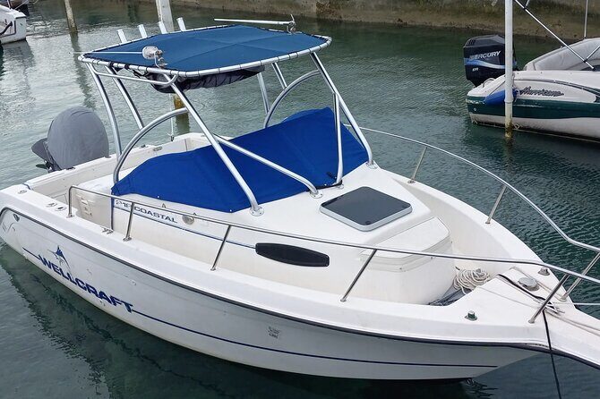 Snorkeling, Swim with Turtles & Beach Day - Key Points