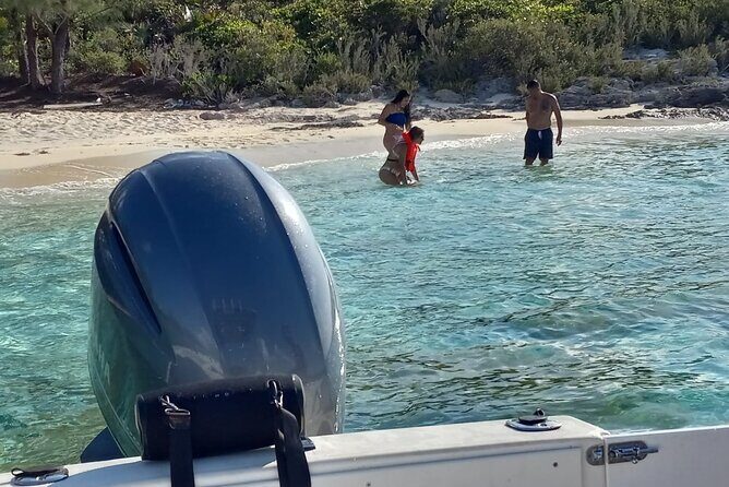 Snorkeling, Swim with Turtles & Beach Day - The Practicalities: What You Need to Know