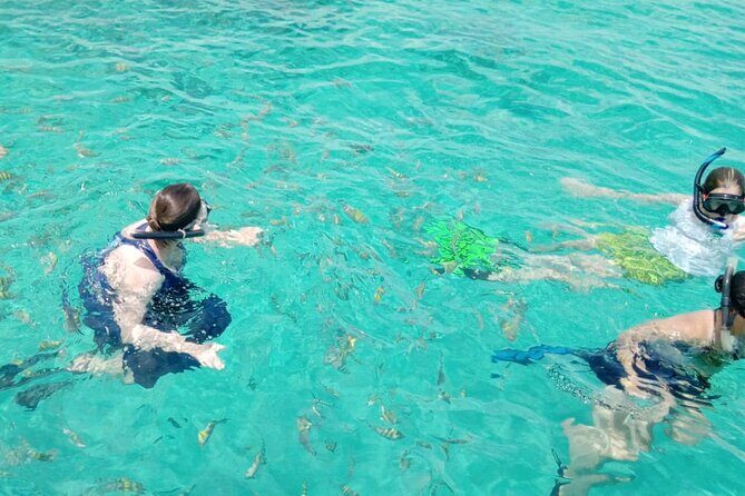 Snorkeling, Swim with Turtles & Beach Day - FAQ