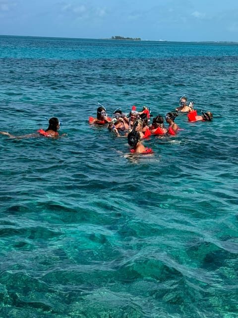 snorkeling, swimming pigs , turtles, harbor tour - FAQ