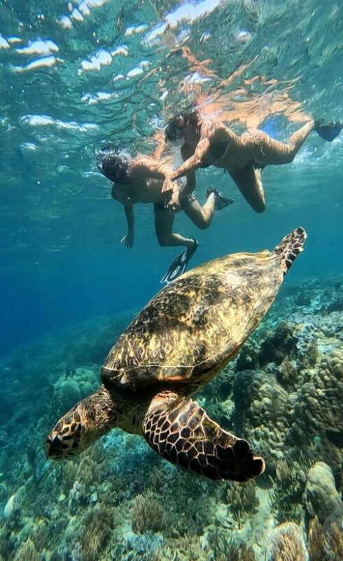 Snorkeling to Gili Nanggu, Tangkong, Sudak and Kedis - Key Points