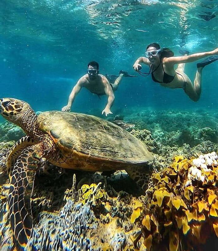 Snorkeling to Gili Nanggu, Tangkong, Sudak and Kedis - What’s Included, What’s Not