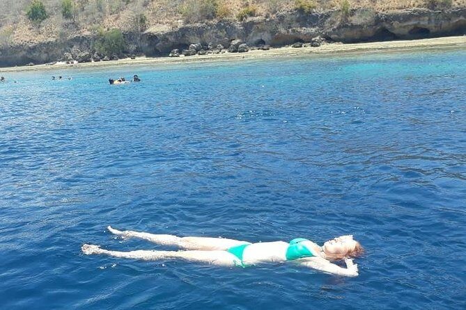 Snorkeling to Menjangan Island - Who Should Consider This Tour?