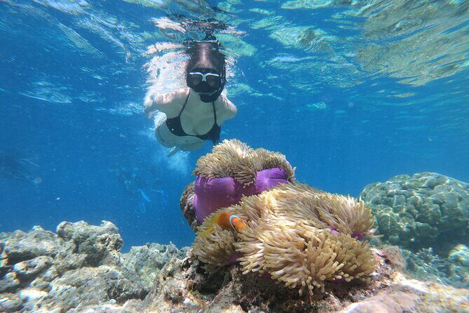 Snorkeling Tour at Blue Lagoon with Private Hotel Transfer - Discovering Bali’s Underwater Treasures: The Snorkeling Tour at Blue Lagoon